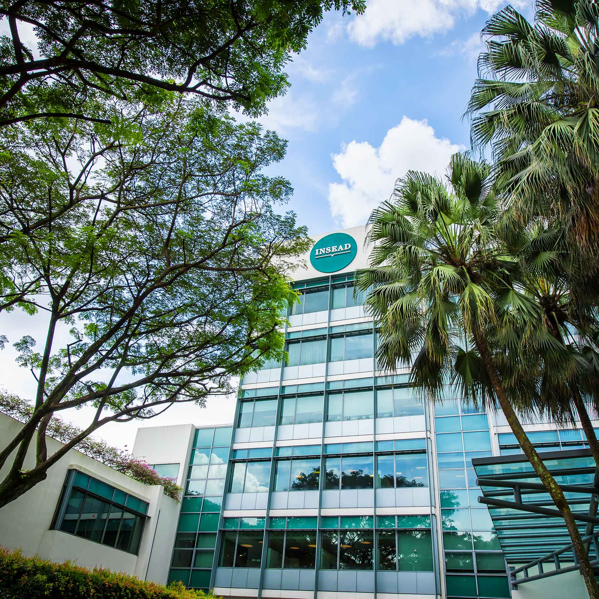 Infrastructure | INSEAD Annual Report - 2021